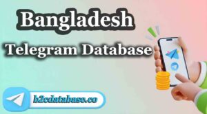 Telegram User Database | B2C Database