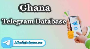 Telegram User Database | B2C Database