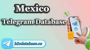 Telegram User Database | B2C Database