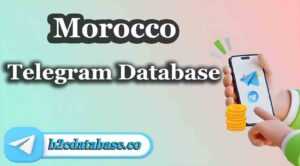 Telegram User Database | B2C Database