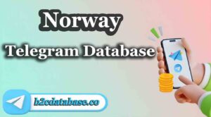 Telegram User Database | B2C Database