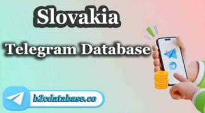 Telegram User Database | B2C Database