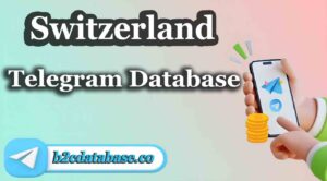 Telegram User Database | B2C Database