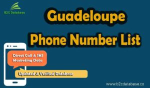Phone Number List | Mobile Number List | B2C Database