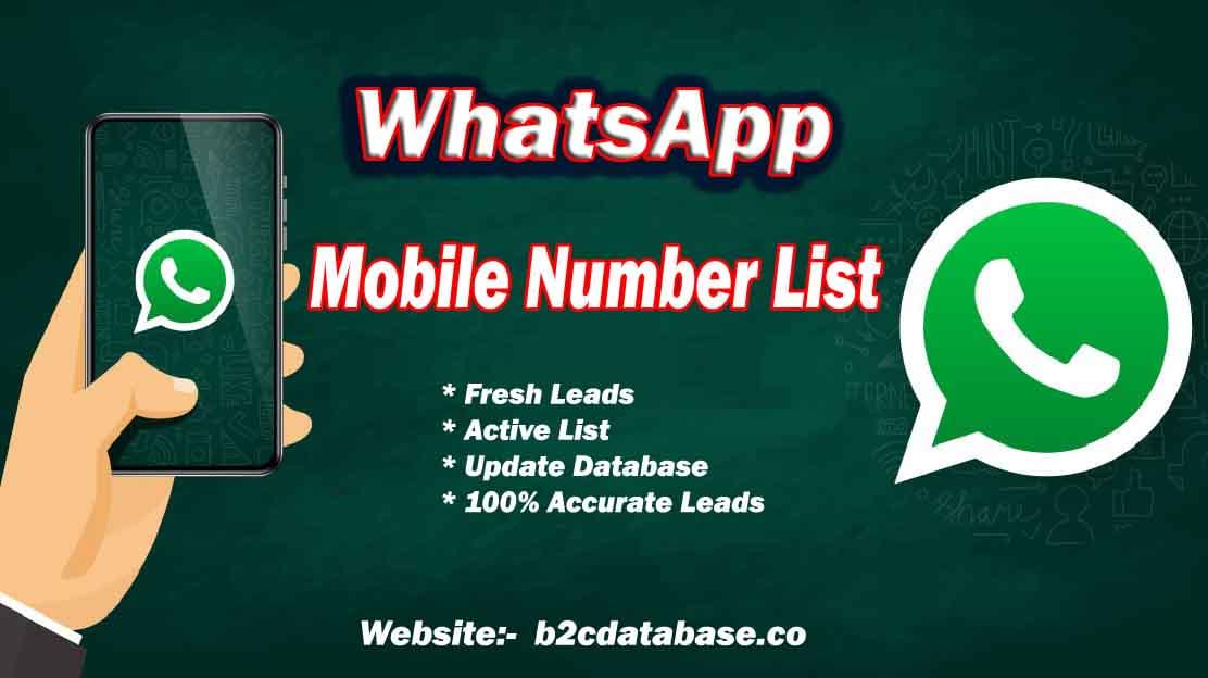WhatsApp Mobile Number List | B2C Database